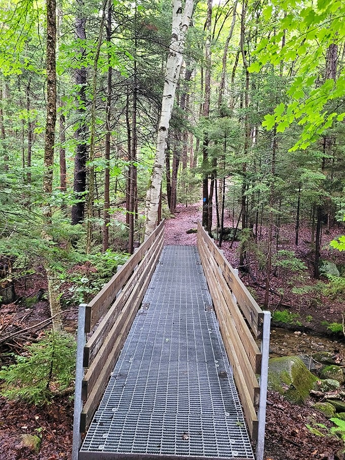 Climb a fire tower, picnic with a view, or channel your inner colonial. This park does it all!