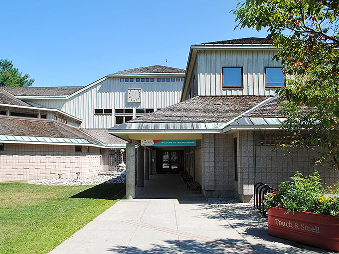  Nature meets technology at the Montshire Museum, where indoor discoveries lead to outdoor explorations.