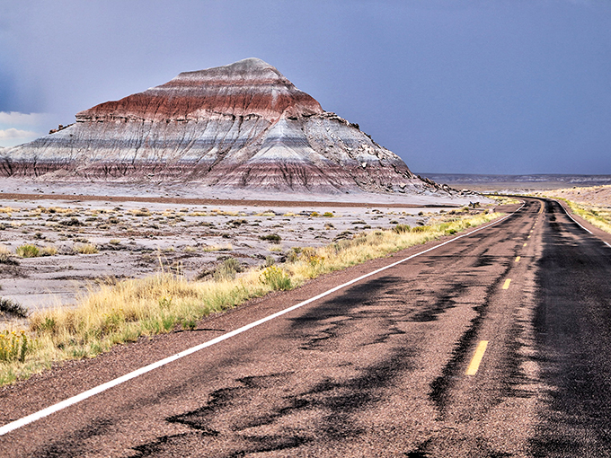 A rainbow of rocks! This prehistoric forest is proof that even trees can have an identity crisis.