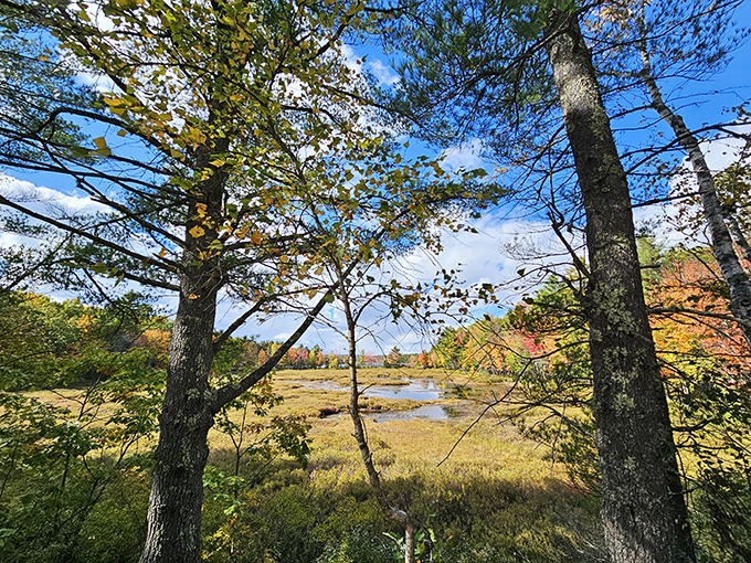 Autumn reflections at Range Ponds. It's like nature's playing a game of mirror, mirror on the water.