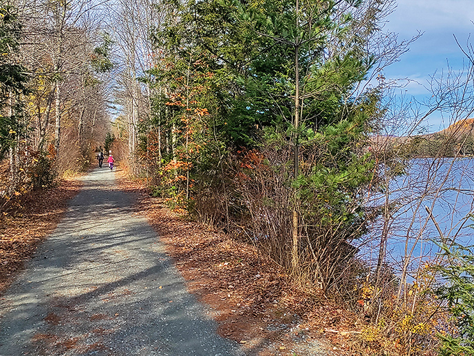 Canoe through serenity: Paddle your worries away on Ricker Pond's mirror-like waters.