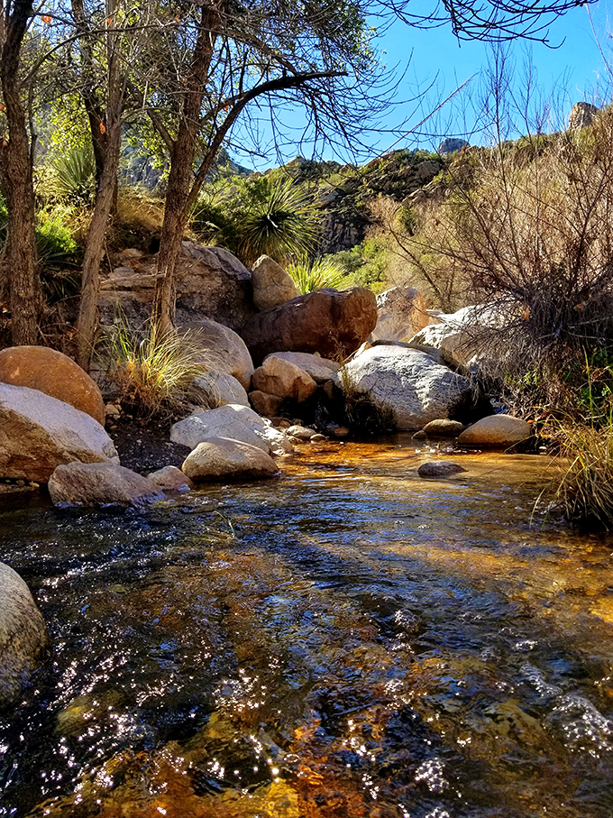 Hike for the burn, stay for the splash. These natural pools are Tucson's best-kept secret.