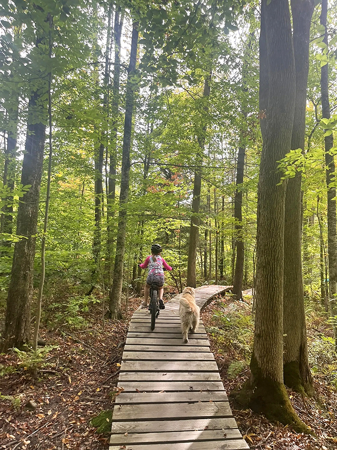Nature's skate park for bikes. Berms, jumps, and thrills galore!