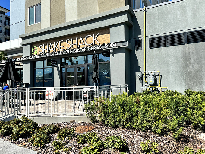 Sleek, chic, and oh-so-sweet &ndash; Shake Shack is serving up nostalgia with a side of contemporary cool.