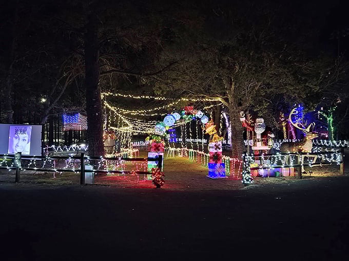 The town square tree: It's so bright, it could guide Santa's sleigh... or at least confused tourists.
