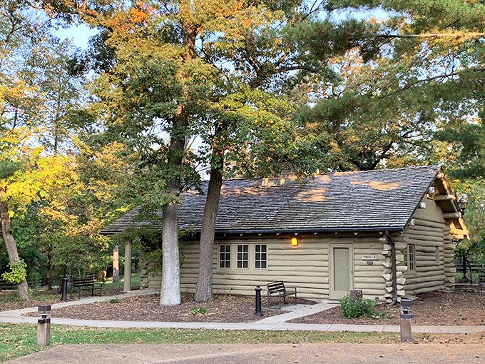 Cozy fireplaces, stunning views, and enough charm to make you consider becoming a permanent lodge dweller.