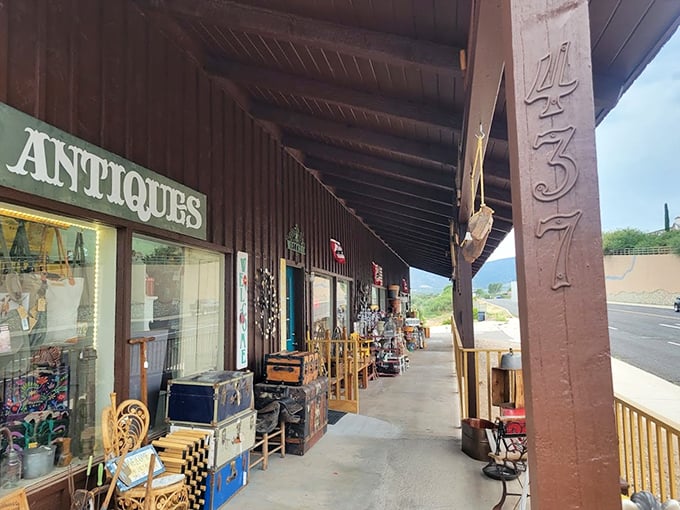 Nestled in Verde Valley, this quirky shop is where unexpected treasures go to be discovered. Indiana Jones, eat your heart out!