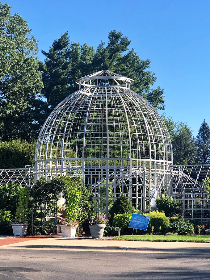 Floral feng shui at Taylor. This garden's design is so harmonious, it could bring peace to a family reunion&mdash;or at least distract from Aunt Edna's fruitcake.