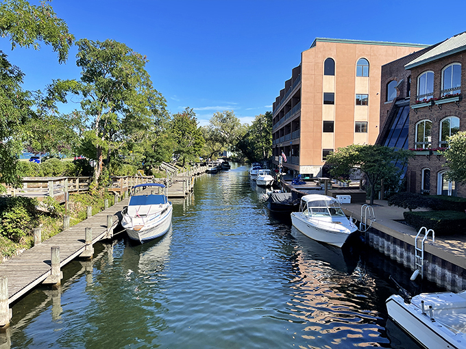Old Mission Peninsula: Where vineyards meet cherry orchards, and every vista looks like it should be on a postcard.