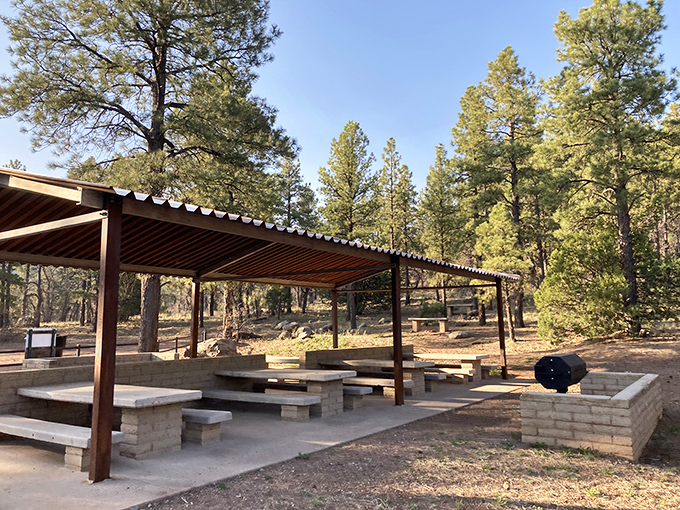 Neon signs, classic diners, and a train to the Grand Canyon. Williams is serving up Americana with a side of natural wonder!