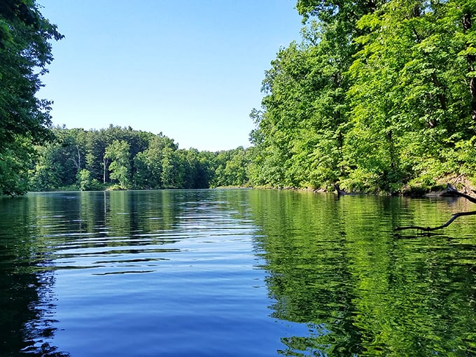 Wander into wonder at Wolf Run Lake, where road-weary travelers become nature enthusiasts.