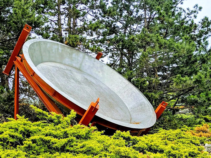 Lean in for a closer look. This pan's so massive, it makes grown adults look like action figures.