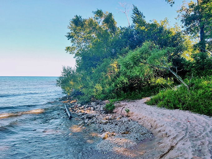 "CSI: Beach Edition &ndash; solving the mystery of how to have the perfect lake day!" Footprints in the sand and gently lapping waves invite visitors to leave their own mark on this picturesque shore.