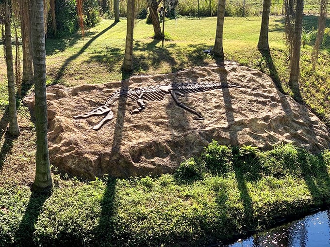 Digging up trouble or treasures? This fossil pit lets kids channel their inner Indiana Jones, minus the boulder chases and face-melting arks.
