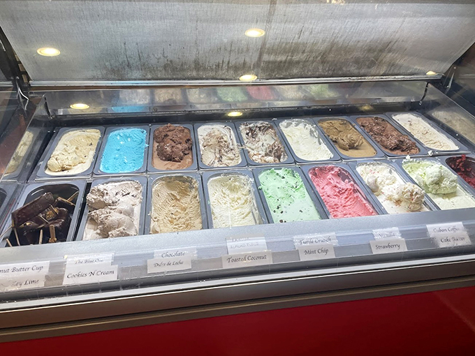 A rainbow of frozen delights! It's like picking your favorite child, except here, you can choose them all without judgment.