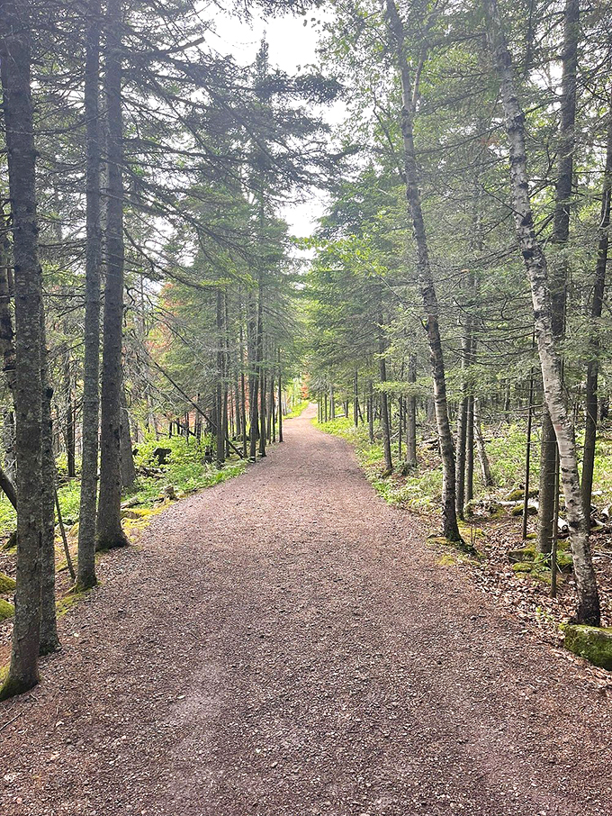 A trail that whispers, "Adventure this way!" It's like nature rolled out the green carpet just for you.