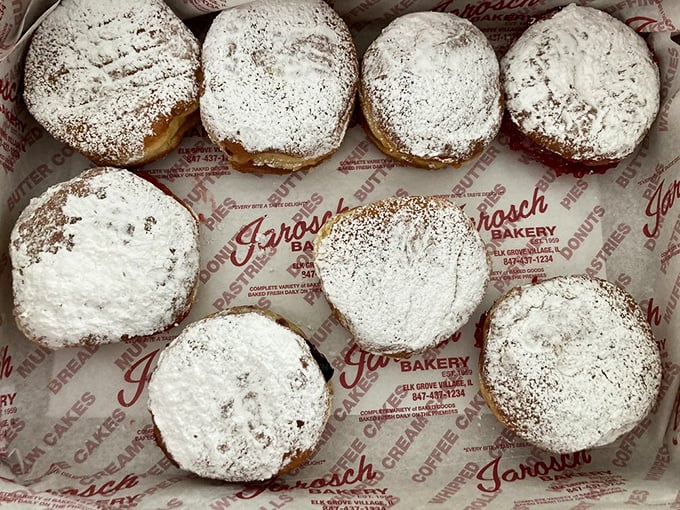 Paczki paradise! These powdered pillows of perfection are the reason elastic waistbands were invented.