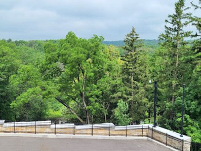 A view that'll make your Instagram followers green with envy. Mayowood's panorama is nature's IMAX.