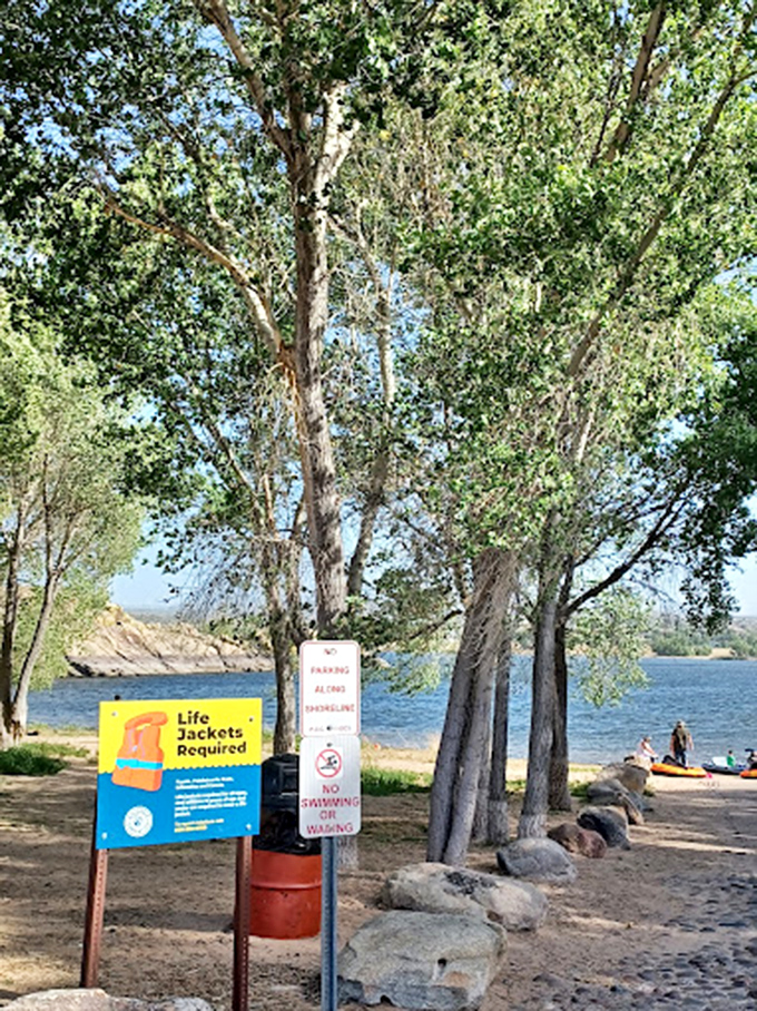 Safety first, fun always! These signs are the park's way of saying 'we care' without cramping your style.