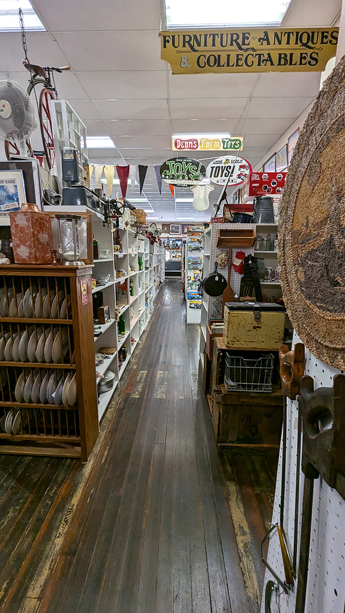 Down the rabbit hole of retro: This aisle promises a wonderland of discoveries, each shelf a new chapter in history.