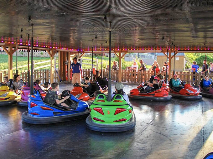 All aboard the joy express! These colorful bumper cars are bringing more smiles than a cat video marathon.