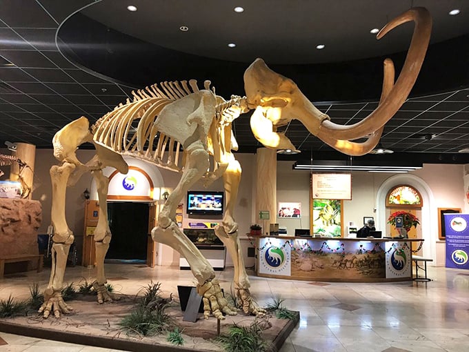 Where science meets imagination. These exhibits bring prehistory to life faster than you can say "brontosaurus burger."