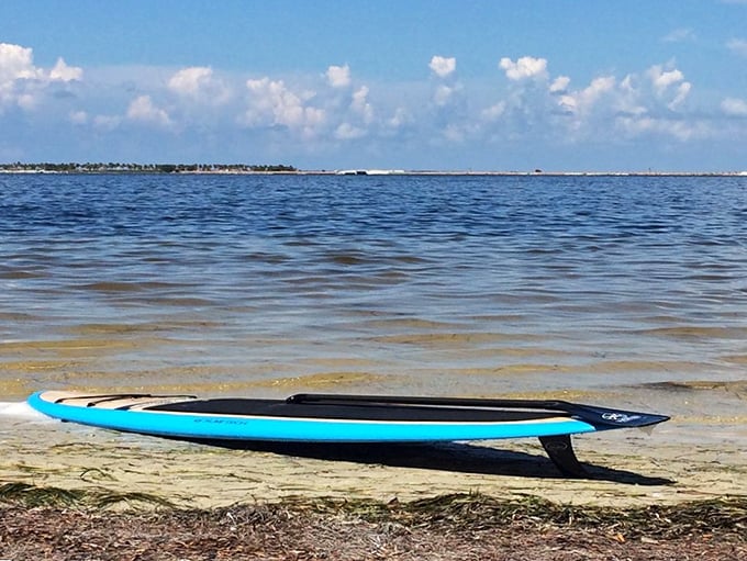 Surf's up! Or maybe it's more of a gentle hello. Either way, that board's itching for some wave-riding action.