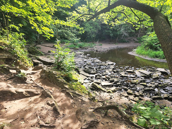Where the wild things are... or at least where they like to hang out. Nature's version of Main Street.