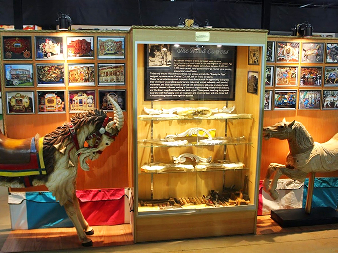Lights, camera, little people! This display showcases the complex history of "midget shows" in carnival culture.