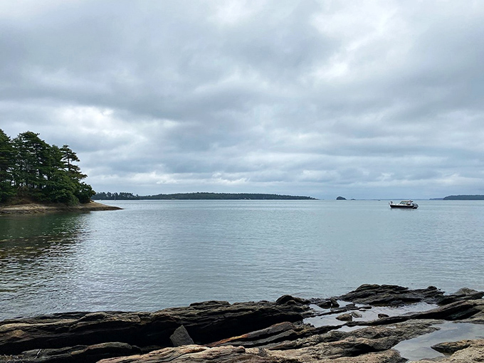 Casco Bay's aquatic highway: Where sailboats glide like graceful swans and every wave tells a sailor's tale.
