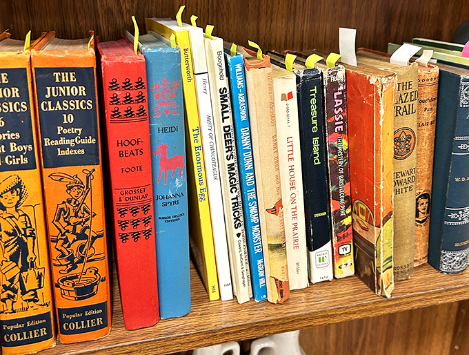 Bookworm's bonanza! These shelves are a literary time capsule where every spine tells a story and every page turn is a trip down memory lane.