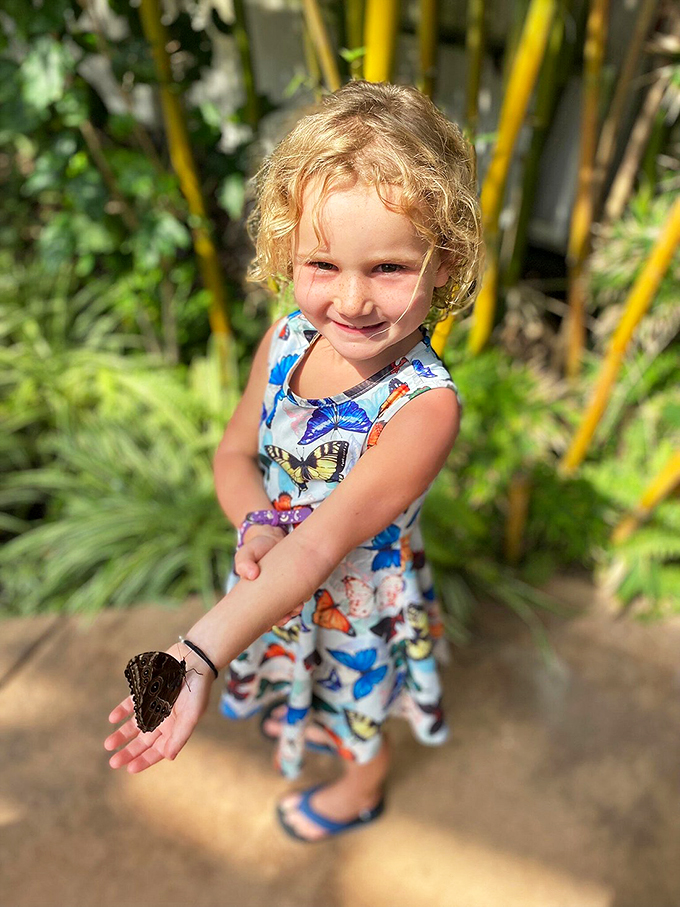 Making new friends is easy when you're as charming as a butterfly. This little visitor seems to have found her spirit animal.