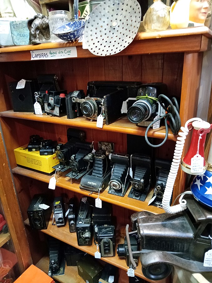 Say cheese to these cheese boxes! These cameras have seen more action than a paparazzo at a Hollywood premiere.