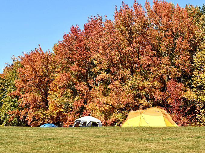 "Autumn camping never looked so good! These leaf peepers have front-row seats to Mother Nature's most colorful show."