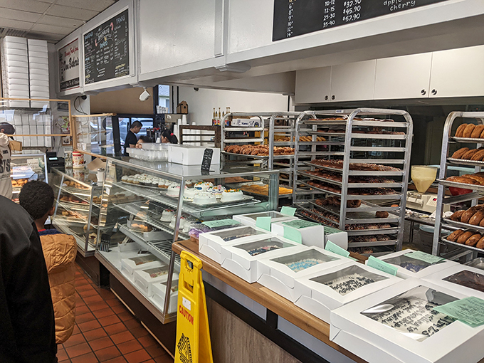 Where dreams become reality. This counter is the gateway to a world of sweet possibilities.