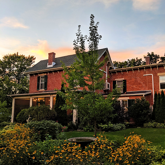 Mother Nature showing off at golden hour. This garden sunset is like a Bob Ross painting come to life&mdash;happy little trees included.
