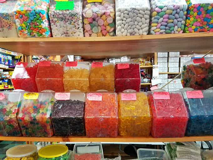 Gummy bear beach party! This colorful array of chewy treats is like a bear's picnic, minus the picnic baskets and plus a whole lot of fun.
