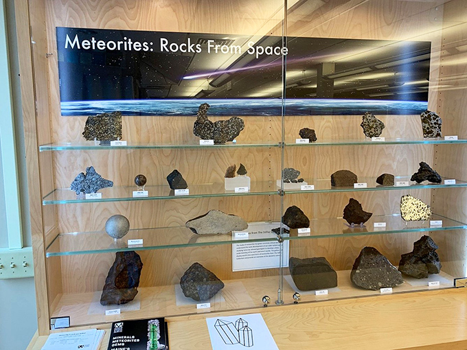 Rocks from space: Earth's most exotic visitors. They've come a long way for this exhibition &ndash; talk about stellar dedication!