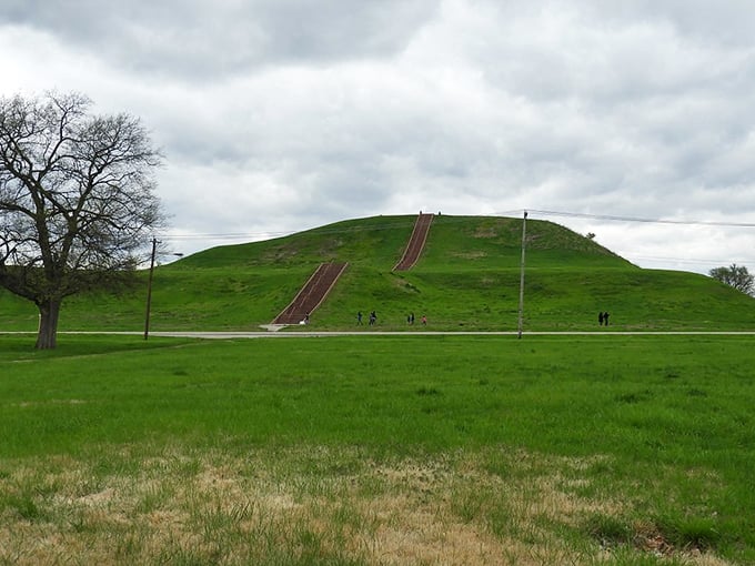 The OG skyscraper of the Midwest! Monks Mound puts the 'high' in 'Ohio Valley,' with a view that's truly ahead of its time.