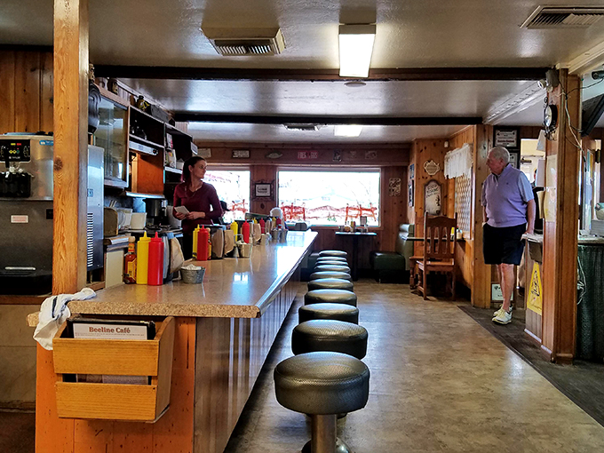 Where the magic happens! A glimpse into the bustling diner kitchen, where comfort food dreams come true and diet plans go to die.