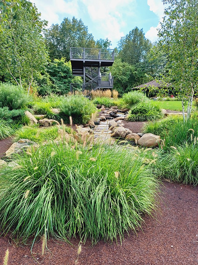 Who needs a treehouse when you've got this? This elevated deck offers a bird's-eye view of nature's grand performance. Binoculars optional, wonder mandatory.