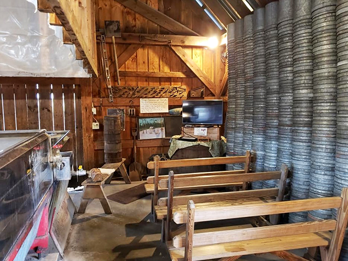 Class is in session at Maple U. These benches aren't for sitting &ndash; they're for soaking up sweet, syrupy knowledge.