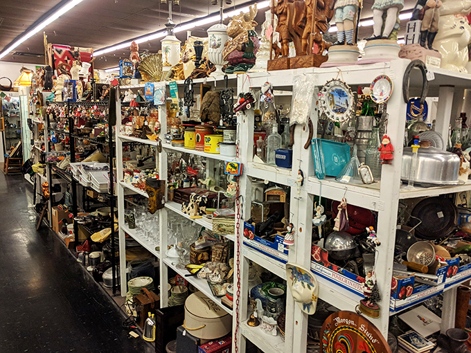 A hodgepodge of history that'd make Indiana Jones jealous. It's like a museum, but you can touch everything – just don't break it, or you bought it!