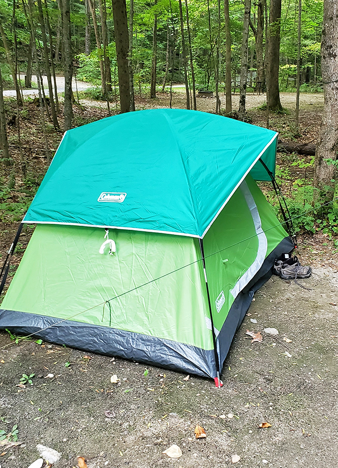Home sweet dome! This cozy tent proves you don't need room service to have a five-star view of the great outdoors.