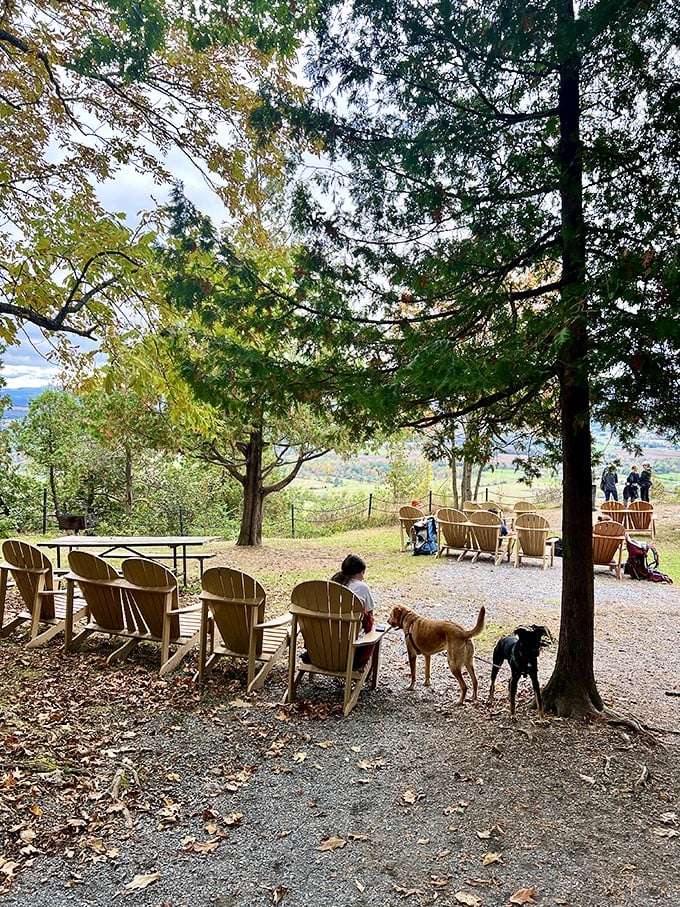 Adirondack chairs: The thrones of relaxation. Here, everyone's royalty in the kingdom of chill.