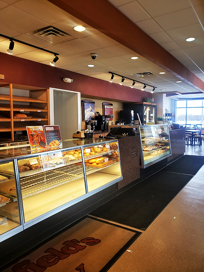 Behold, the Great Wall of Baked Goods! This counter is where dreams come true and New Year's resolutions go to die.