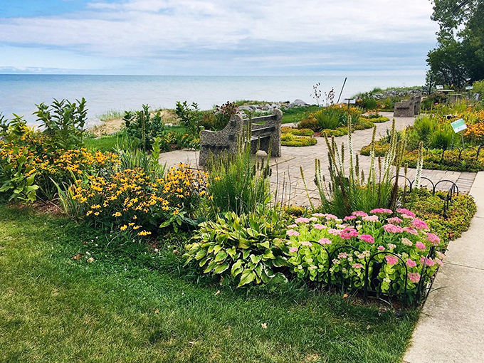 Mother Nature's own flower show, with Lake Michigan as the backdrop. It's like someone spilled a rainbow and decided to leave it there. Absolutely gorgeous!