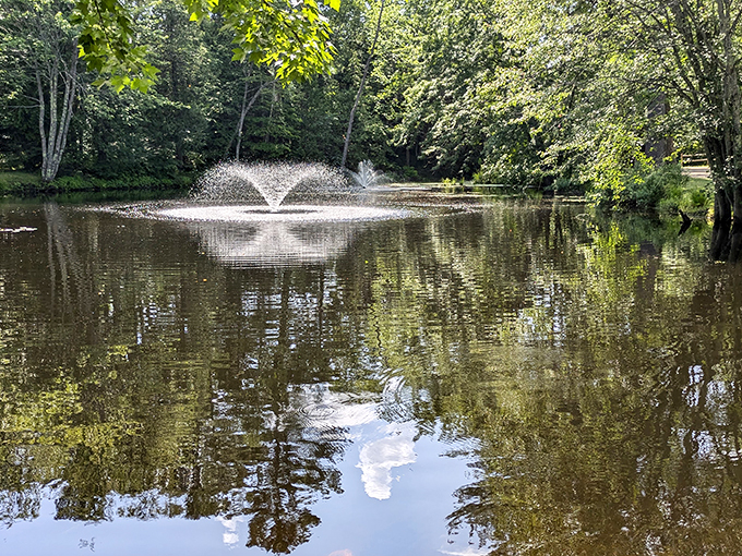 Not your average fishing hole! A serene fountain adds a touch of magic to Benny's woodland domain.