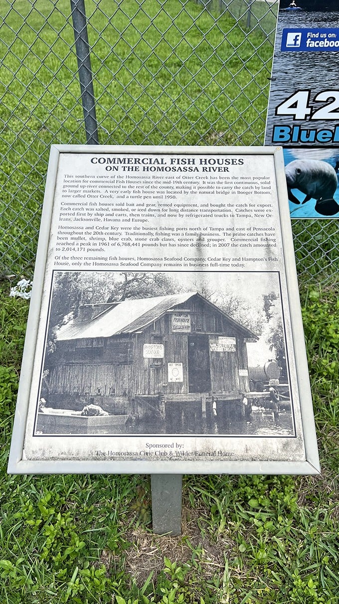 Knowledge is power, and sometimes it comes on a stick. These informative signposts are like Wikipedia pages sprung to life.