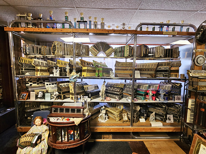 It's like Tetris for accordion enthusiasts! This carefully curated chaos of keys and bellows is a feast for the eyes and ears.